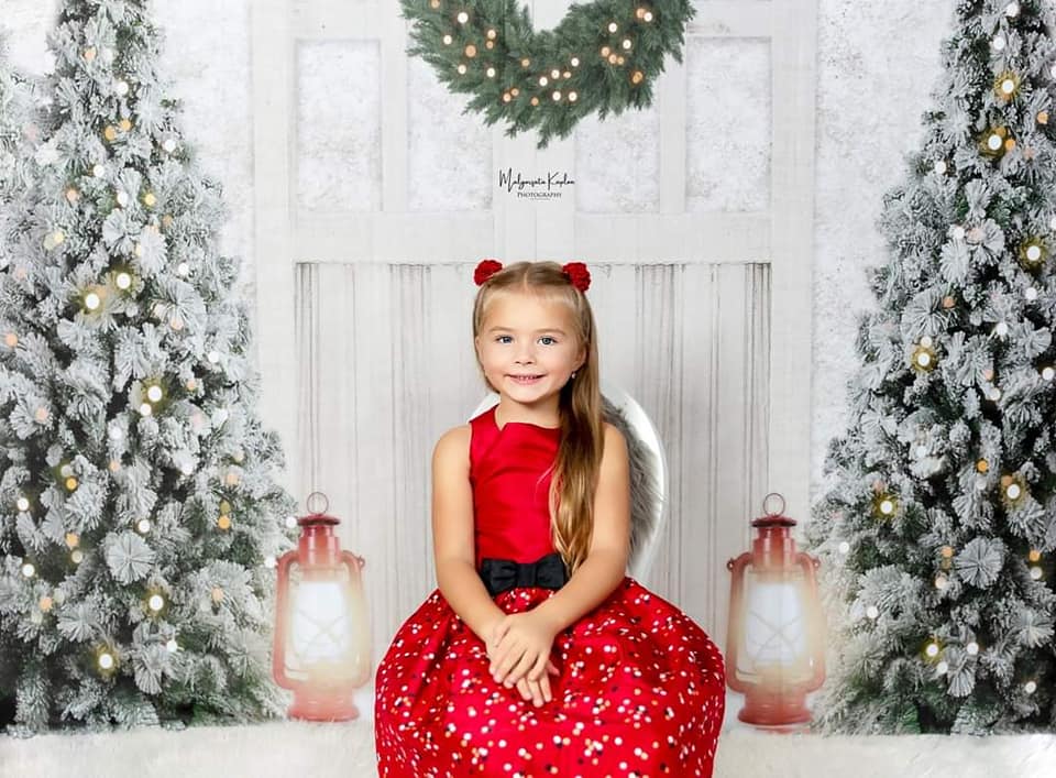 Kate Christmas Trees Door Backdrop For Photography
