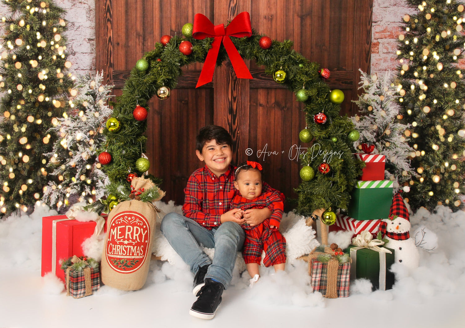 Kate Christmas Wooden Barn Door Backdrop Designed by Emetselch