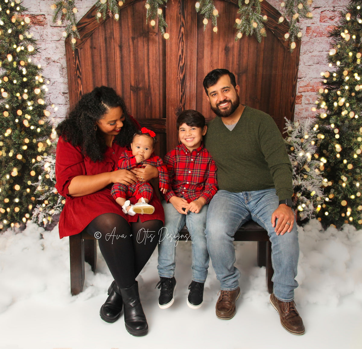 Kate Christmas Wooden Barn Door Backdrop Designed by Emetselch